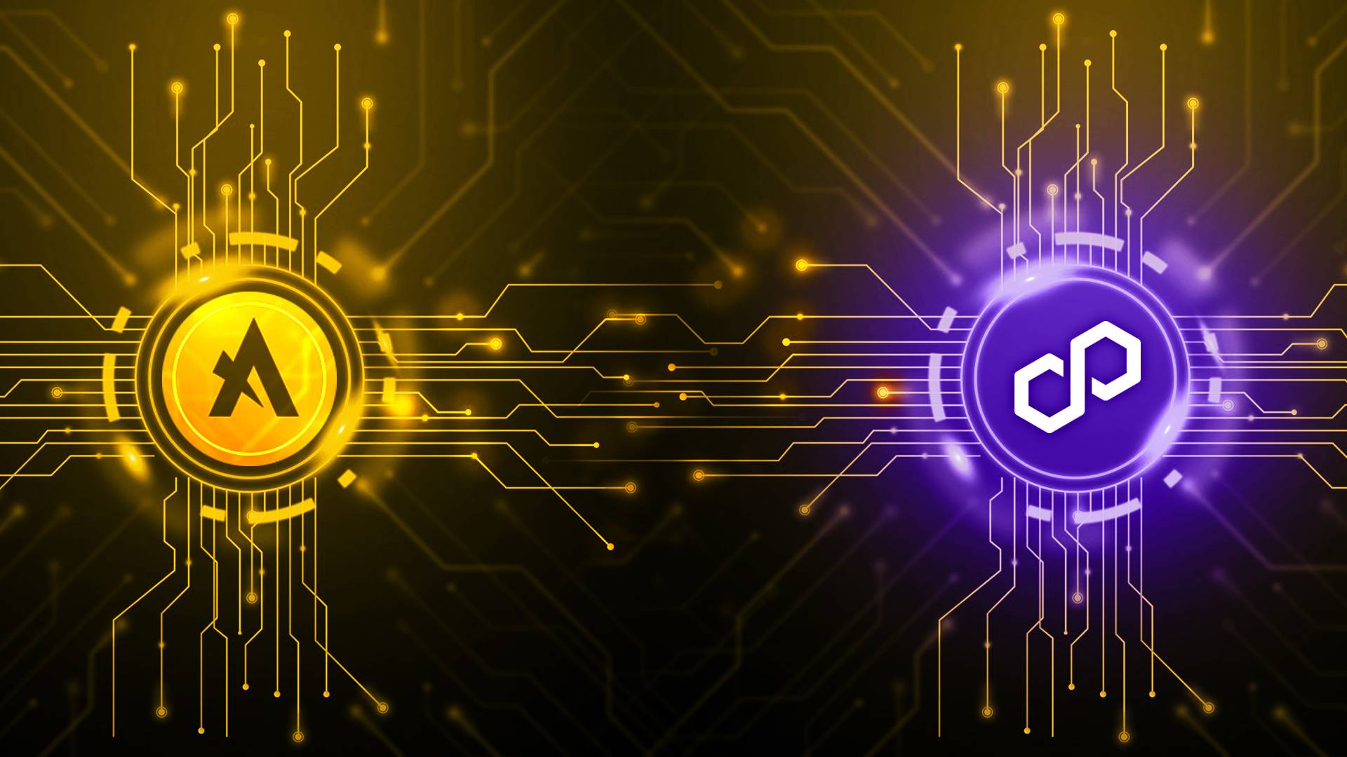 Axir Wallet Now Supports Polygon Network